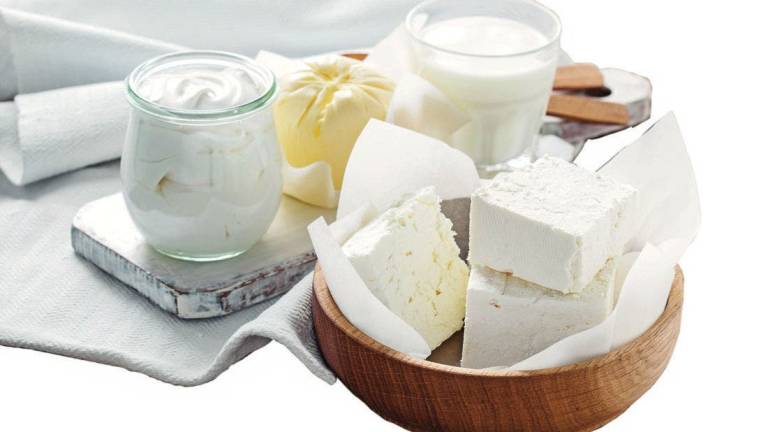 Formaggio fresco – Scamar Srl